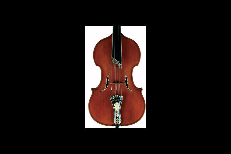 In Focus: studies of great and unusual stringed instruments | Gallery ...